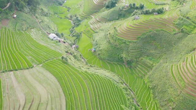 Imagens de Cang – Explore Fotografias do Stock, Vetores e Vídeos de ...