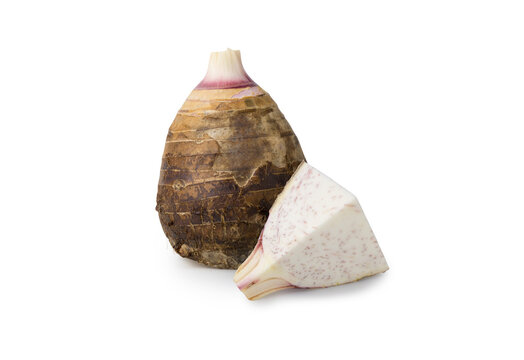 Taro Corm"」の写真素材 | 490件の無料イラスト画像 | Adobe Stock