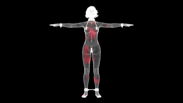 Polymastia Images – Browse 35 Stock Photos, Vectors, and Video | Adobe ...