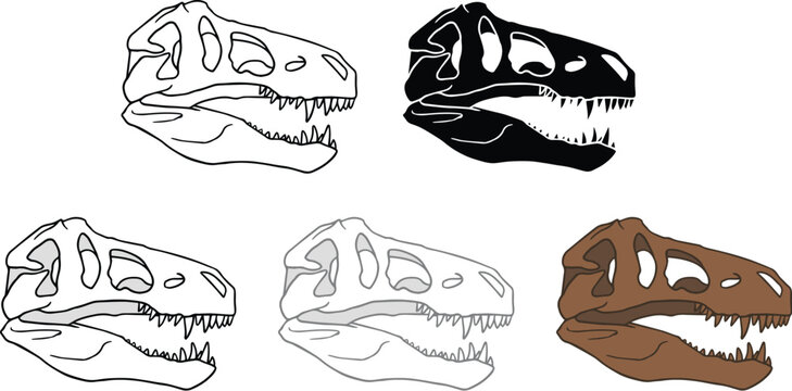 T Rex Skeleton Head Drawing