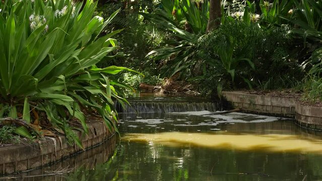 "Park Stream" Images – Browse 20 Stock Photos, Vectors, and Video ...