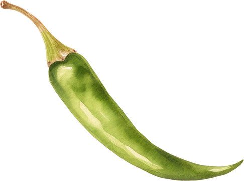 Green Chilli
