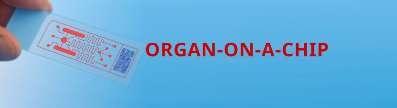 Lab-On-A-Chip Images – Browse 305 Stock Photos, Vectors, and Video ...