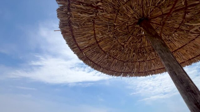 Dion Images – Browse 1,031 Stock Photos, Vectors, and Video | Adobe Stock