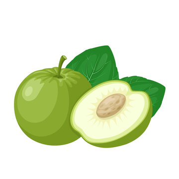 Masau Images – Browse 36 Stock Photos, Vectors, and Video | Adobe Stock