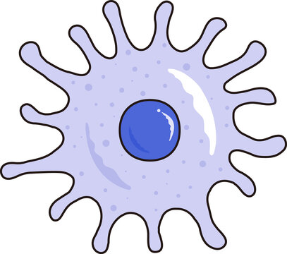 รูปภาพMacrophages – เลือกดูภาพถ่ายสต็อก เวกเตอร์ และวิดีโอ5,111 | Adobe ...