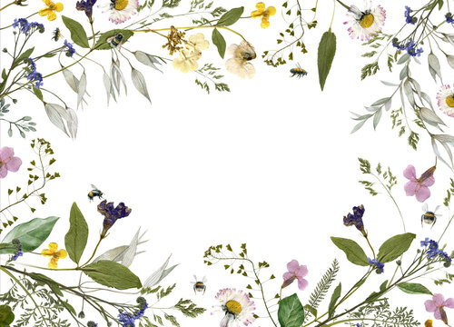 Wildflowers Invitation Images – Browse 124,444 Stock Photos, Vectors ...