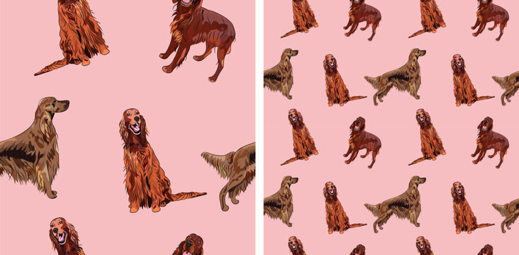 "Irish Red Setter" Images – Browse 411 Stock Photos, Vectors, and Video ...