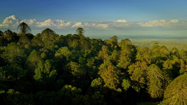 Bunya Mountains Images – Browse 227 Stock Photos, Vectors, and Video ...