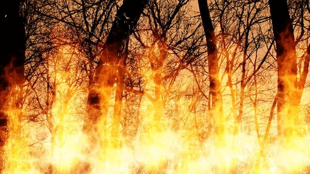 Amazon On Fire Images – Browse 4,105 Stock Photos, Vectors, and Video ...