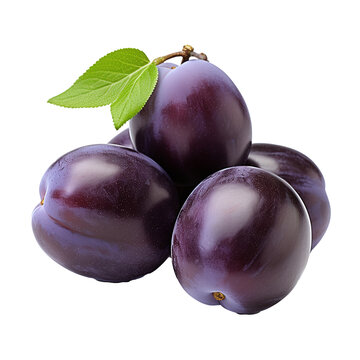 รูปภาพPrune – เลือกดูภาพถ่ายสต็อก เวกเตอร์ และวิดีโอ200,374 | Adobe Stock