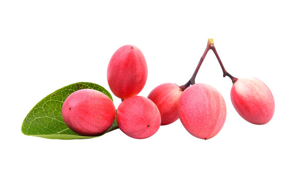 Carissa Images – Browse 2,719 Stock Photos, Vectors, and Video | Adobe ...