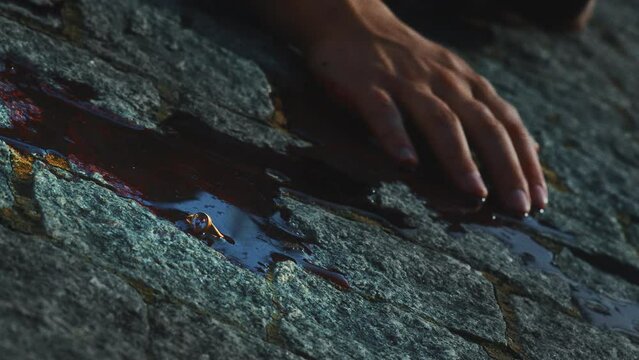 Blood Pool Images – Browse 9,104 Stock Photos, Vectors, and Video ...