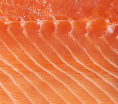"Salmon Background" Images – Browse 204 Stock Photos, Vectors, and ...