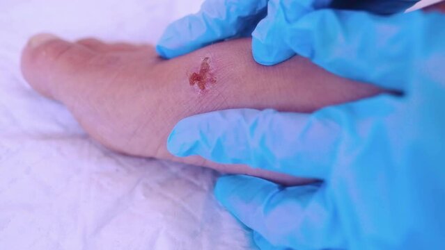 "Growth Factors" Images – Browse 250 Stock Photos, Vectors, and Video ...