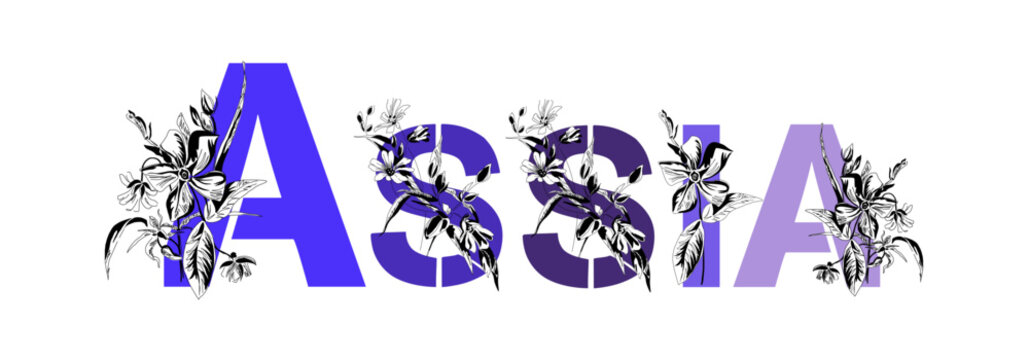 รูปภาพAssia – เลือกดูภาพถ่ายสต็อก เวกเตอร์ และวิดีโอ145 | Adobe Stock