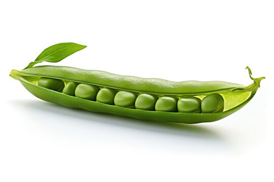 Pea Pod"」の写真素材 | 12,418件の無料イラスト画像 | Adobe Stock