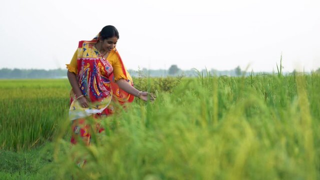 "Indian Field" Images – Browse 249 Stock Photos, Vectors, and Video ...