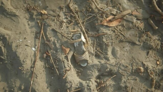 Disheartening Images – Browse 15,823 Stock Photos, Vectors, and Video ...