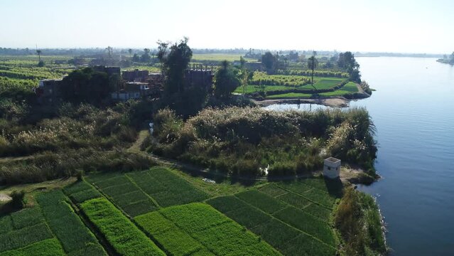 Nile River Delta Landscape