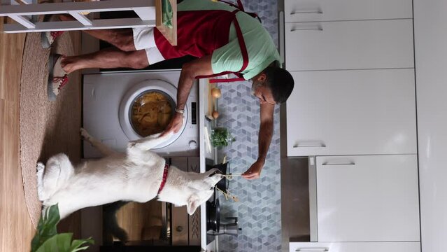 Dog Kitchen Images – Browse 35,460 Stock Photos, Vectors, and Video ...