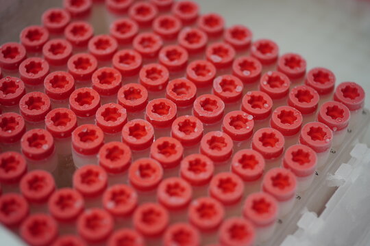 Cryotube Images – Browse 64 Stock Photos, Vectors, and Video | Adobe Stock