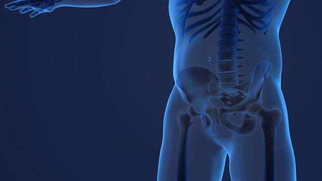 Orthopedic Background Images – Browse 50,390 Stock Photos, Vectors, and ...