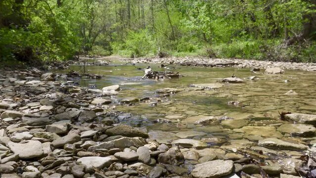 "Honest Abe" Images – Browse 135 Stock Photos, Vectors, and Video ...
