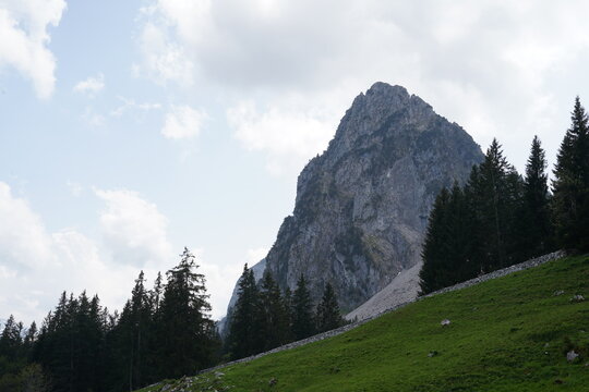 รูปภาพ"Grosser – เลือกดูภาพถ่ายสต็อก เวกเตอร์ และวิดีโอ6,886 | Adobe Stock