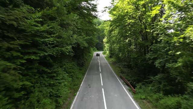 Forest Road Side View Images – Browse 25,824 Stock Photos, Vectors, and ...