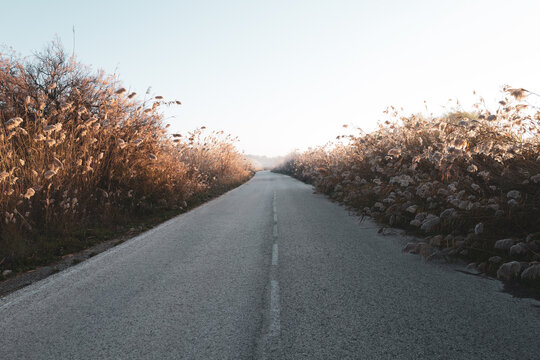 "Abandoned Road" Images – Browse 1,903 Stock Photos, Vectors, and Video | Adobe Stock