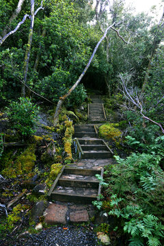 faestock photos, images, assets | Adobe Stock