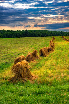 "Hand Stacked" Images – Browse 28 Stock Photos, Vectors, and Video ...