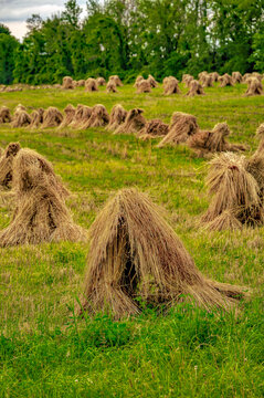 "Hand Stacked" Images – Browse 29 Stock Photos, Vectors, and Video ...