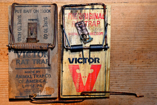 "Mouse Trap"-Bilder: Stock-Fotos & -Videos. | Adobe Stock