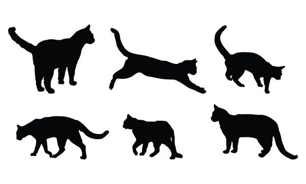 Cat Vector Images Free - Infoupdate.org