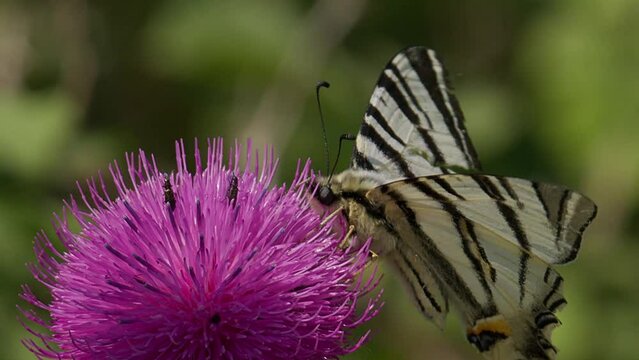 Probing Images – Browse 199,140 Stock Photos, Vectors, and Video ...