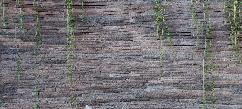 Andesit Images – Browse 2,045 Stock Photos, Vectors, and Video | Adobe ...