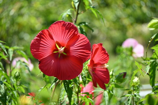 One-Day Images – Browse 596 Stock Photos, Vectors, and Video | Adobe Stock