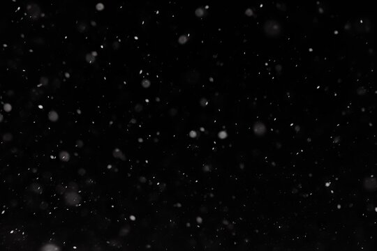 Imágenes de Freeze Overlay: descubre bancos de fotos, ilustraciones ...