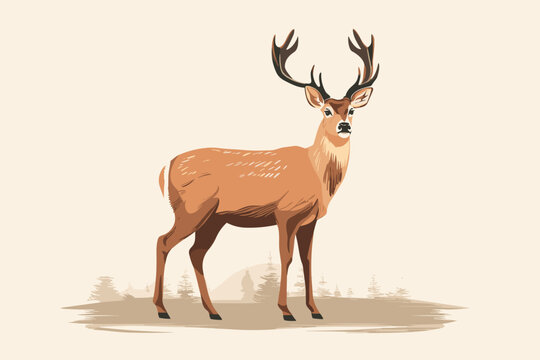 Whitetail Deer Vector