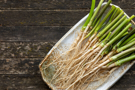 "Coriander Root"-Bilder: Stock-Fotos & -Videos. | Adobe Stock