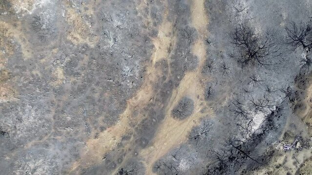 รูปภาพLardos – เลือกดูภาพถ่ายสต็อก เวกเตอร์ และวิดีโอ590 | Adobe Stock