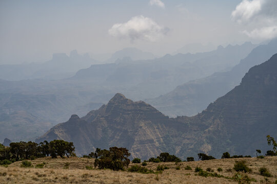 "Simien Images – Browse 5,224 Stock Photos, Vectors, and Video | Adobe ...