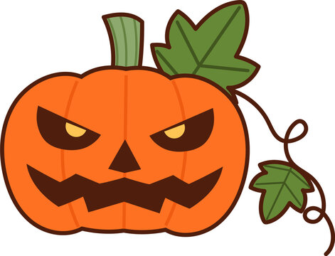 woocat 写真、画像、アセット | Adobe Stock