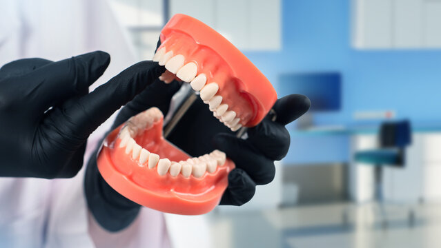 "Visual Aid" Images – Browse 11,028 Stock Photos, Vectors, and Video ...