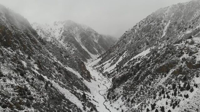 Kashka Imagens – Procure 14 fotos, vetores e vídeos | Adobe Stock