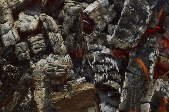 Live-Coal Images – Browse 95 Stock Photos, Vectors, and Video | Adobe Stock