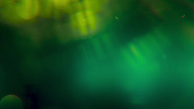Neon Green Backdrop Images – Browse 93,646 Stock Photos, Vectors, and ...
