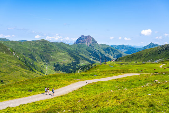 รูปภาพ"Grosser – เลือกดูภาพถ่ายสต็อก เวกเตอร์ และวิดีโอ6,886 | Adobe Stock